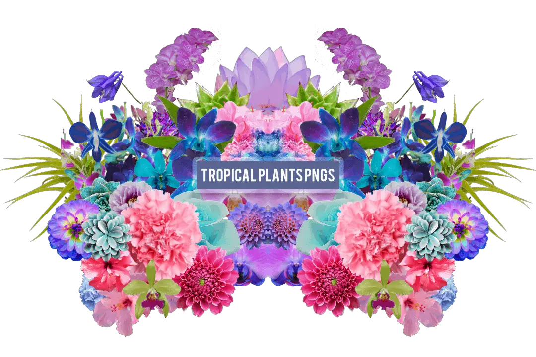 21+ Free Aesthetic PNG packs - Hipsthetic