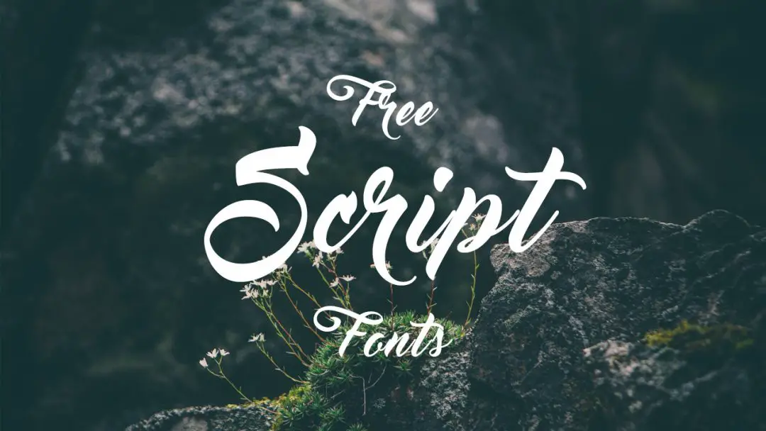 19+ Free Script Fonts - Hipsthetic