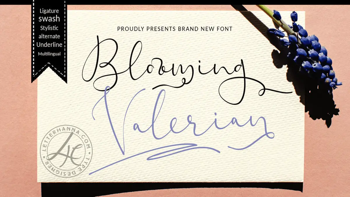 Top Premium Handwritten Script Fonts for 2024 - Hipsthetic